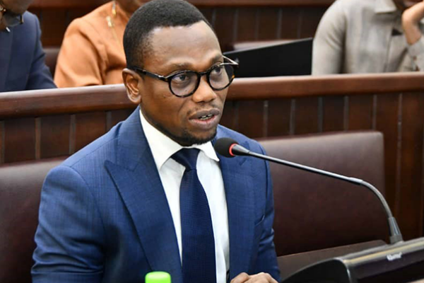 Budget 2025: Le Ministère de la santé a planché devant la commission ...